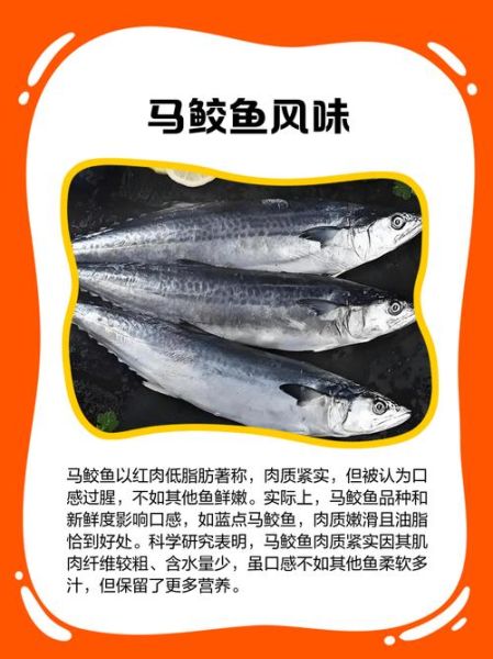 马鲛鱼孕妇可以吃吗_孕期吃马鲛鱼注意事项-第1张图片-山城妙识 马鲛鱼孕妇可以吃吗_孕期吃马鲛鱼注意事项-第1张图片-山城妙识