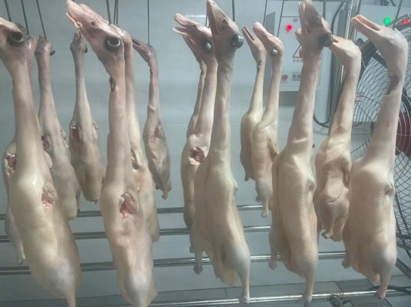 宜良烤鸭哪里最正宗_宜良烤鸭做法详解-第2张图片-山城妙识