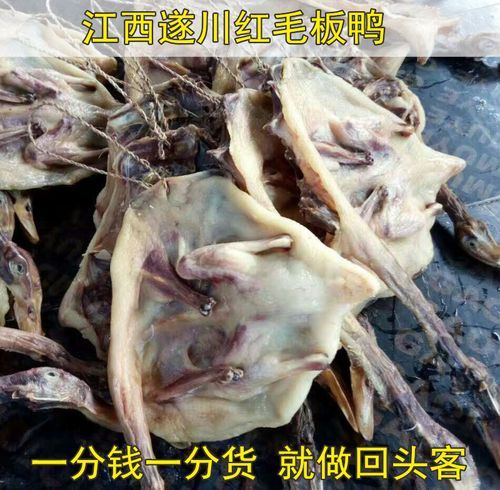 板鸭怎么腌制_板鸭风干多久最好-第1张图片-山城妙识