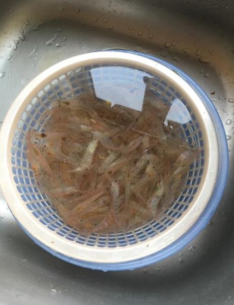 白虾怎么做好吃_白虾的家常做法-第1张图片-山城妙识