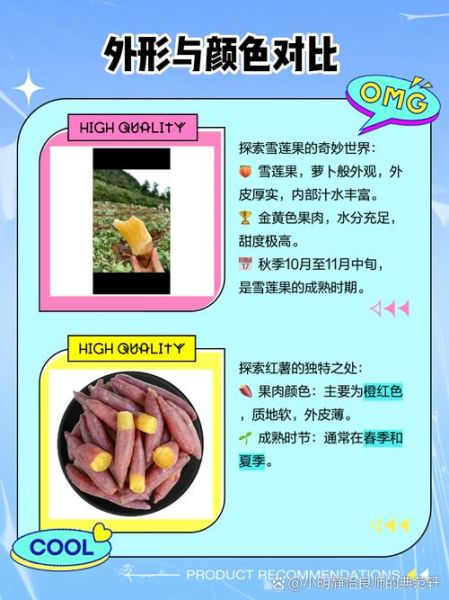 雪莲果和红薯的区别_哪个更适合减肥-第1张图片-山城妙识