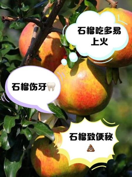 一天一个石榴上火吗_吃石榴会不会上火-第1张图片-山城妙识