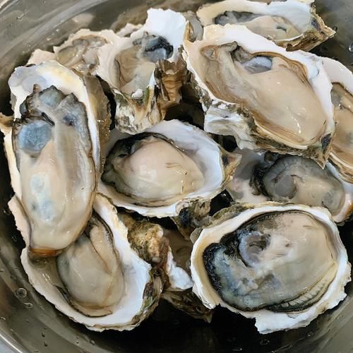 汽锅生蚝怎么做_汽锅生蚝需要蒸多久-第1张图片-山城妙识 汽锅生蚝怎么做_汽锅生蚝需要蒸多久-第1张图片-山城妙识