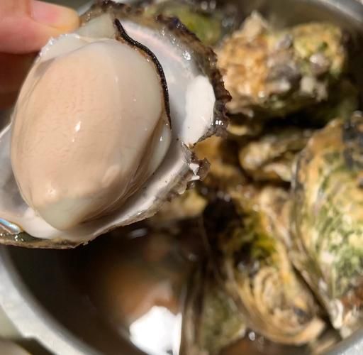 汽锅生蚝怎么做_汽锅生蚝需要蒸多久-第3张图片-山城妙识 汽锅生蚝怎么做_汽锅生蚝需要蒸多久-第3张图片-山城妙识