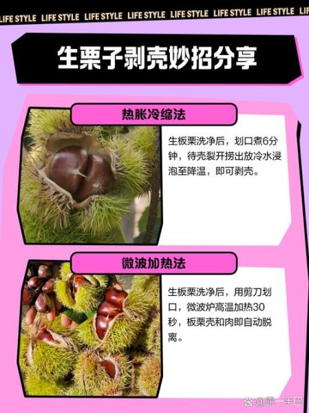 生栗子怎么去皮_生栗子怎么吃才安全-第1张图片-山城妙识