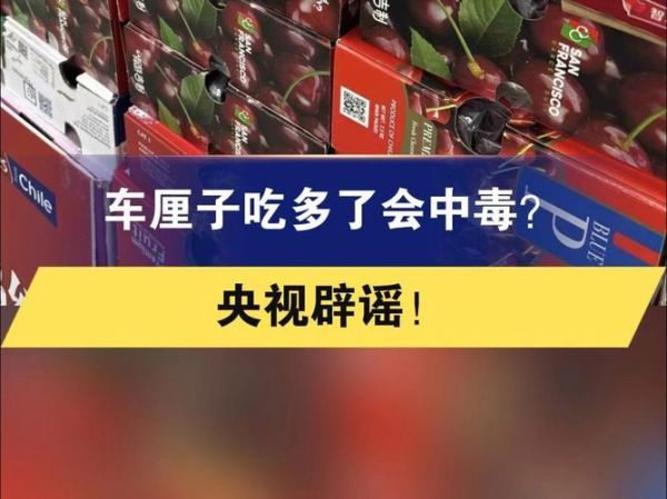 吃5斤车厘子死了_车厘子中毒真相-第2张图片-山城妙识