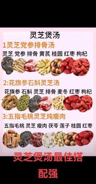 灵芝怎么吃效果最好_灵芝的正确吃法与禁忌-第3张图片-山城妙识