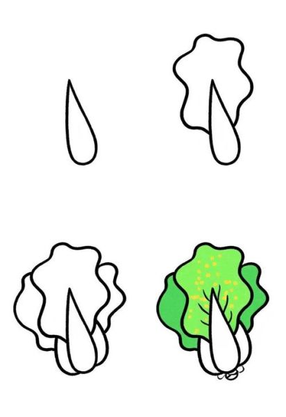 白菜怎么画_白菜简笔画步骤-第1张图片-山城妙识
