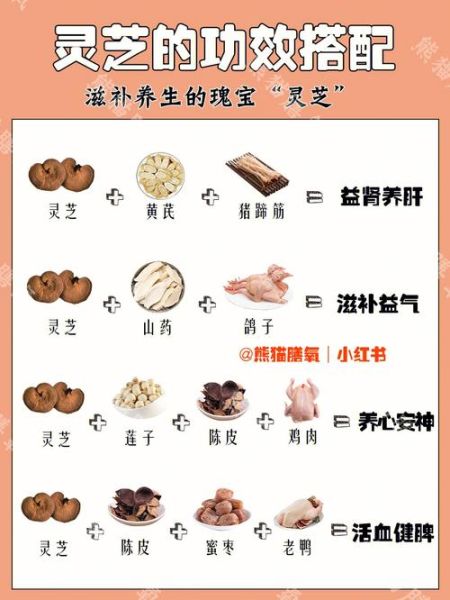 灵芝怎么吃效果最好_灵芝的正确吃法与禁忌-第2张图片-山城妙识