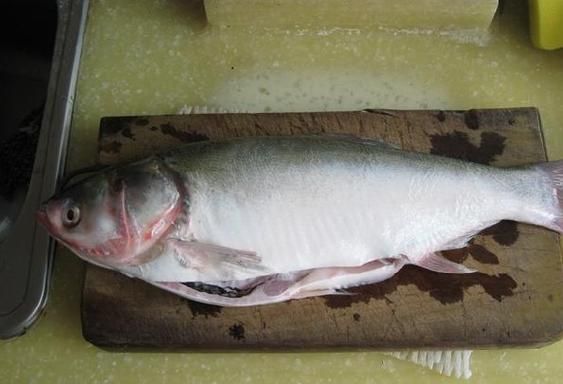 鳙怎么读拼音_鳙字怎么写-第2张图片-山城妙识 鳙怎么读拼音_鳙字怎么写-第2张图片-山城妙识