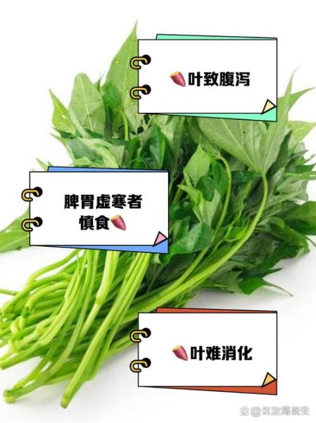 番薯叶吃多了的危害_番薯叶吃多了会中毒吗-第2张图片-山城妙识 番薯叶吃多了的危害_番薯叶吃多了会中毒吗-第2张图片-山城妙识