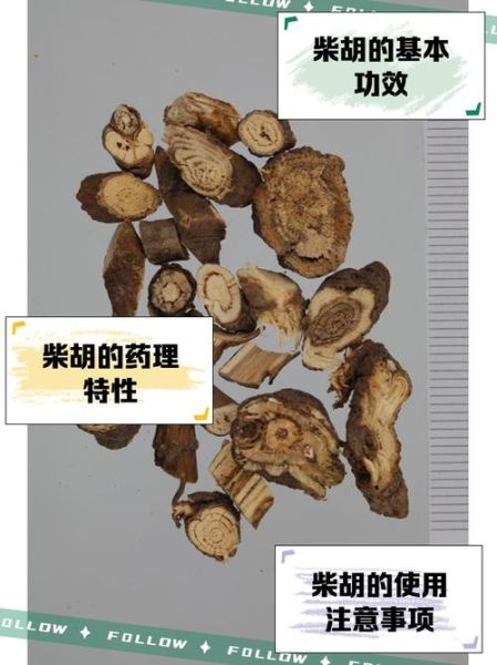 柴胡图片全图_如何辨别真假-第2张图片-山城妙识 柴胡图片全图_如何辨别真假-第2张图片-山城妙识