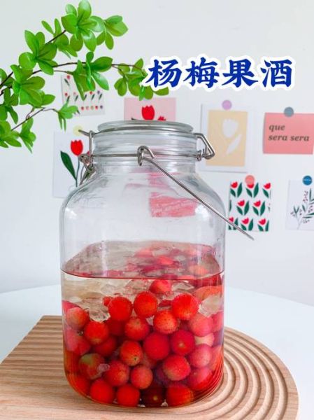 泡杨梅酒用什么酒好_泡杨梅酒要不要去核-第1张图片-山城妙识