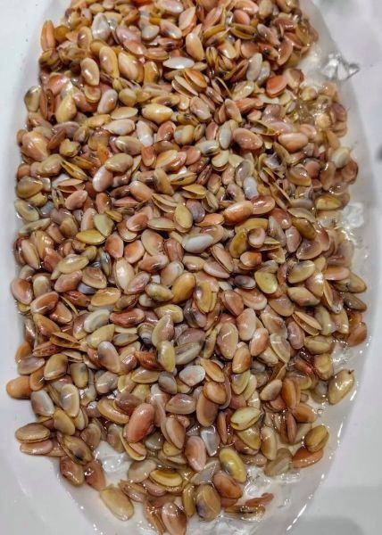 海瓜子怎么吃不到肉_海瓜子空壳原因-第2张图片-山城妙识