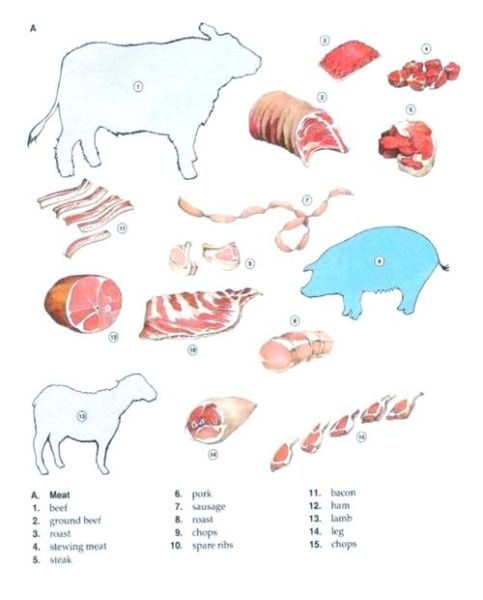 肉的英文怎么写_meat还是flesh区别在哪-第2张图片-山城妙识 肉的英文怎么写_meat还是flesh区别在哪-第2张图片-山城妙识