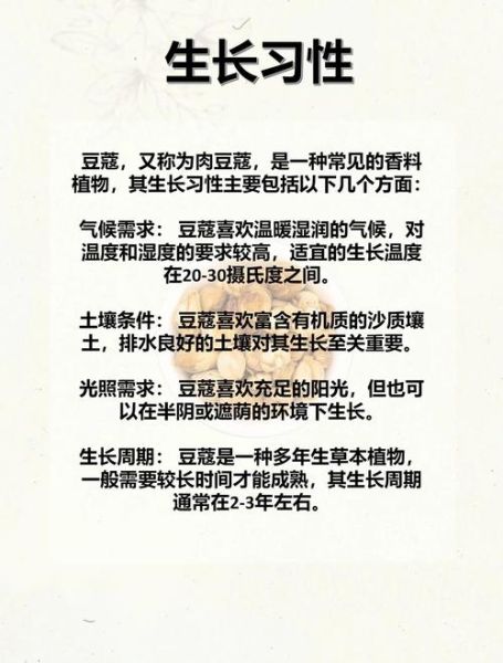 红豆蔻的功效与作用_红豆蔻怎么吃效果最好-第1张图片-山城妙识 红豆蔻的功效与作用_红豆蔻怎么吃效果最好-第1张图片-山城妙识