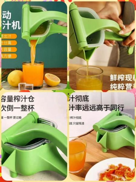 家用榨汁机一般买多少钱_家用榨汁机多少钱一台-第2张图片-山城妙识