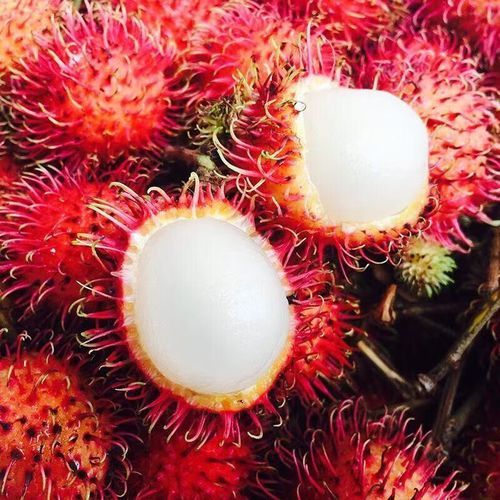 红毛丹上火吗_红毛丹吃多了会怎样-第2张图片-山城妙识 红毛丹上火吗_红毛丹吃多了会怎样-第2张图片-山城妙识