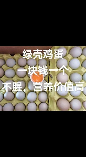 绿壳鸡蛋和普通鸡蛋的区别_绿壳鸡蛋营养价值高吗-第3张图片-山城妙识 绿壳鸡蛋和普通鸡蛋的区别_绿壳鸡蛋营养价值高吗-第3张图片-山城妙识
