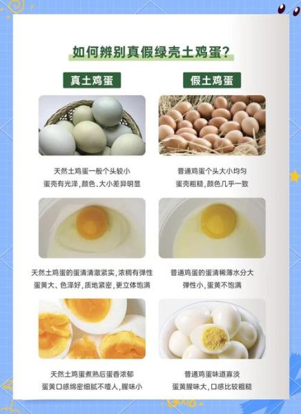 绿壳鸡蛋和普通鸡蛋的区别_绿壳鸡蛋营养价值高吗-第1张图片-山城妙识 绿壳鸡蛋和普通鸡蛋的区别_绿壳鸡蛋营养价值高吗-第1张图片-山城妙识