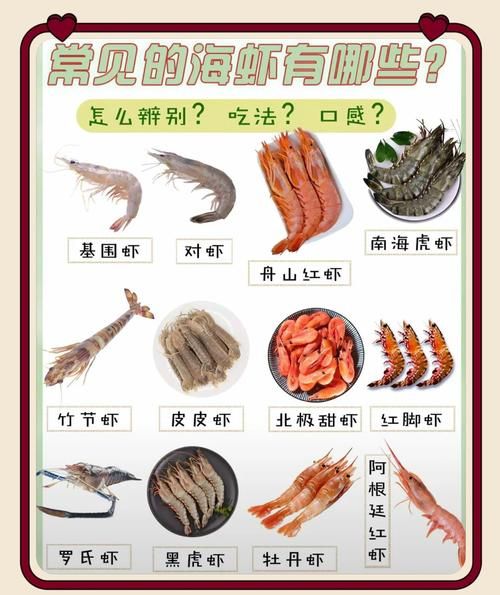 野生海虾怎么做好吃_家常做法大全-第2张图片-山城妙识 野生海虾怎么做好吃_家常做法大全-第2张图片-山城妙识