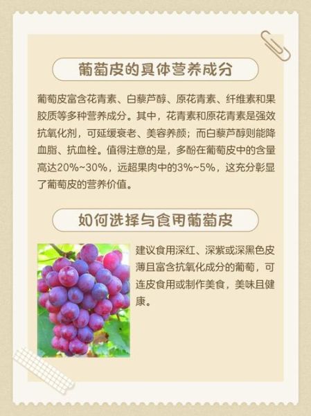 吃葡萄不吐葡萄皮好吗_葡萄皮到底能不能吃-第1张图片-山城妙识 吃葡萄不吐葡萄皮好吗_葡萄皮到底能不能吃-第1张图片-山城妙识