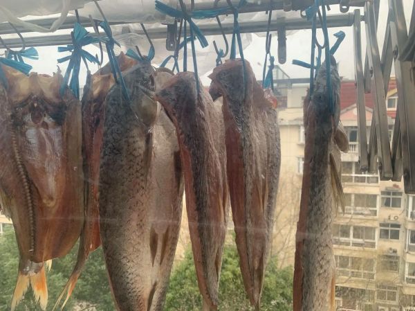 腊鱼怎么腌制好吃_腊鱼腌制多久可以晒-第2张图片-山城妙识