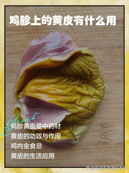 鸡胗的营养价值及危害_吃鸡胗会上火吗-第1张图片-山城妙识