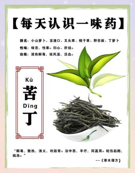 苦丁茶有什么作用和功效_苦丁茶能降血压吗-第1张图片-山城妙识