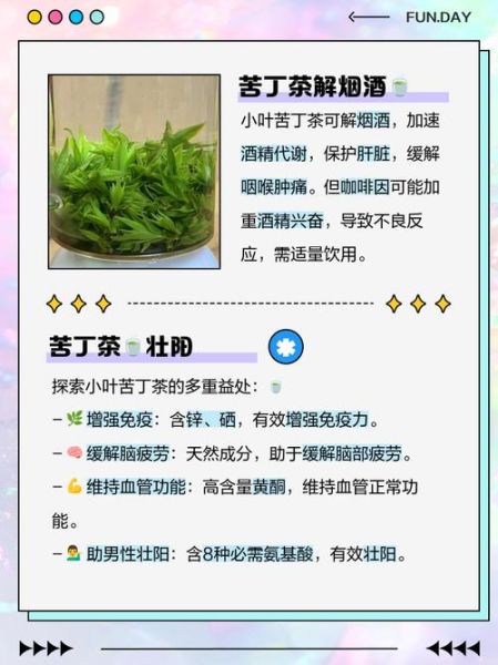 苦丁茶有什么作用和功效_苦丁茶能降血压吗-第3张图片-山城妙识