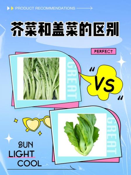 盖菜长什么样子_盖菜和芥菜的区别-第1张图片-山城妙识 盖菜长什么样子_盖菜和芥菜的区别-第1张图片-山城妙识