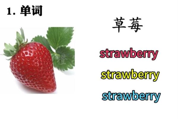 strawberry怎么拼写_strawberry复数形式-第1张图片-山城妙识