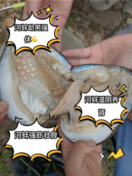 河蚌怎么清洗才干净_河蚌内脏清理步骤-第1张图片-山城妙识