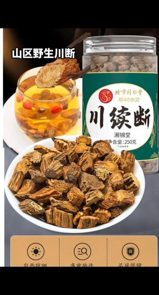 川断功效作用与主治_川断补肾壮阳效果好吗-第3张图片-山城妙识