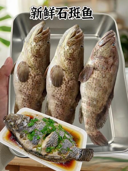 清蒸石斑鱼怎么做_清蒸石斑鱼蒸几分钟-第1张图片-山城妙识