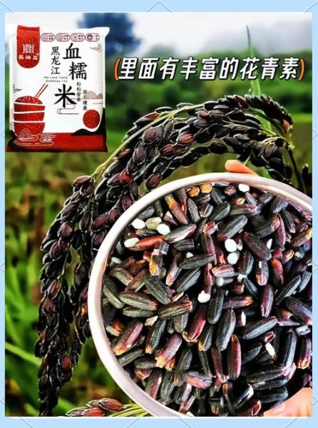 血糯米的营养价值及功效与作用_血糯米怎么吃补血最快-第1张图片-山城妙识