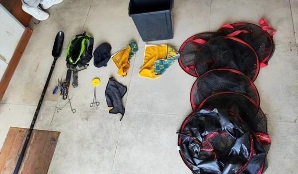 泥鳅打窝犯法吗_泥鳅打窝违法后果-第1张图片-山城妙识