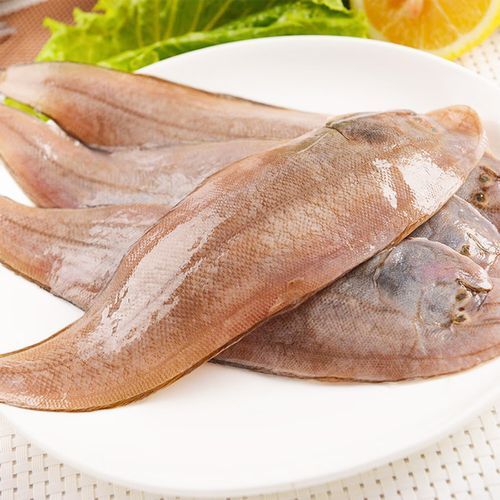 牛舌头鱼多少钱一斤_牛舌头鱼怎么做好吃-第1张图片-山城妙识