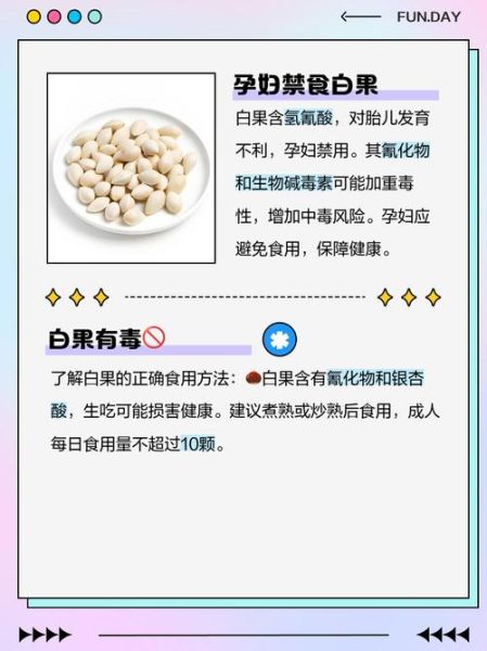 白果和什么相克_白果不能和什么一起吃-第1张图片-山城妙识 白果和什么相克_白果不能和什么一起吃-第1张图片-山城妙识
