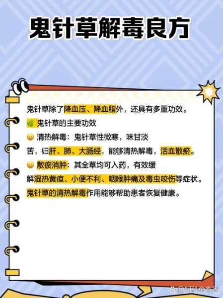 鬼针草降血压多久见效_鬼针草降血压的正确吃法-第1张图片-山城妙识 鬼针草降血压多久见效_鬼针草降血压的正确吃法-第1张图片-山城妙识