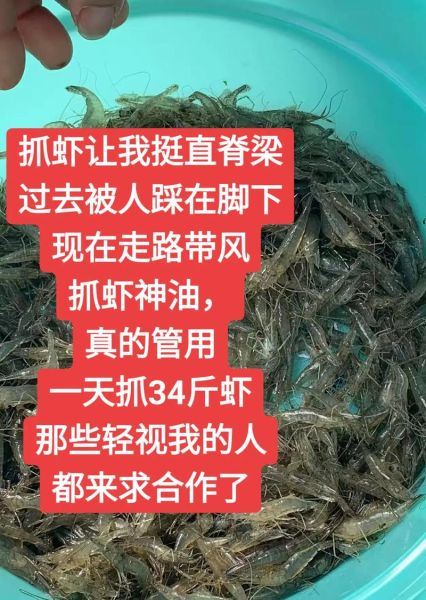 河虾怎么养才不会死_抓回来的河虾怎么养活-第1张图片-山城妙识