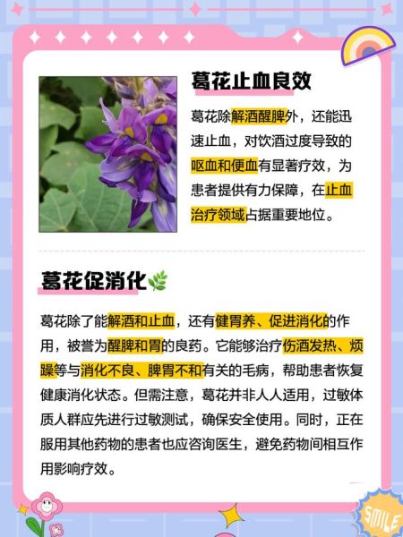 葛根花的副作用_葛根花泡水喝的禁忌-第3张图片-山城妙识 葛根花的副作用_葛根花泡水喝的禁忌-第3张图片-山城妙识