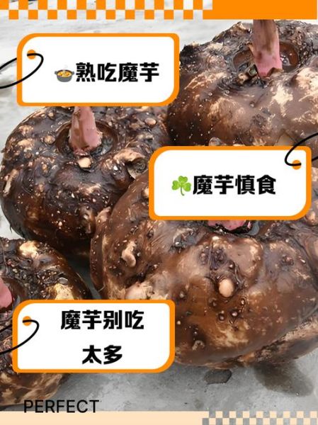 吃魔芋的禁忌_哪些人不能吃魔芋-第1张图片-山城妙识 吃魔芋的禁忌_哪些人不能吃魔芋-第1张图片-山城妙识