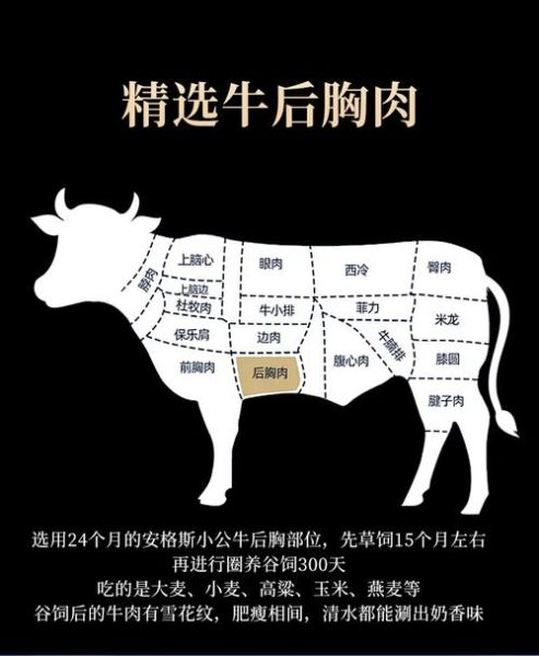 肥牛片是牛的哪个部位_肥牛片是什么肉-第1张图片-山城妙识