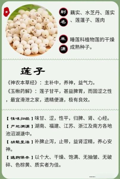 新鲜莲子吃多了会怎么样_会上火吗-第1张图片-山城妙识 新鲜莲子吃多了会怎么样_会上火吗-第1张图片-山城妙识