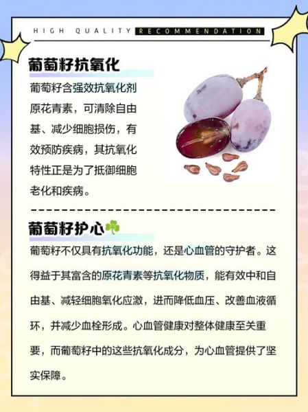 葡萄籽的功效与作用_葡萄籽的禁忌有哪些-第3张图片-山城妙识