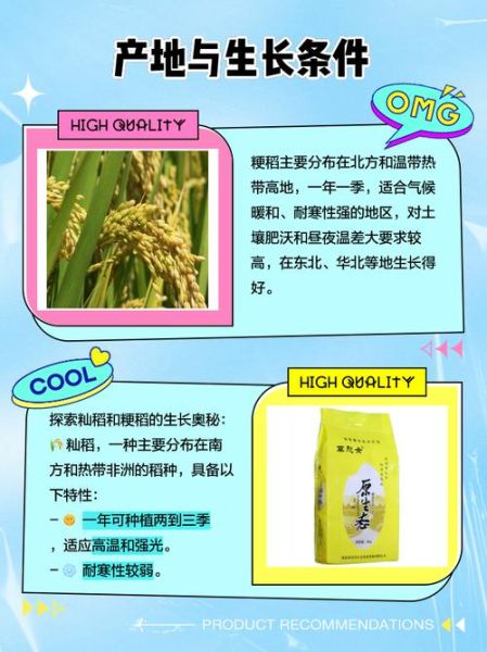 籼稻和粳稻的区别_籼稻和粳稻哪个好吃-第1张图片-山城妙识