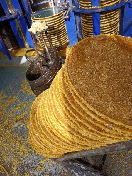 现在豆饼多少钱一斤_豆饼价格行情最新-第1张图片-山城妙识