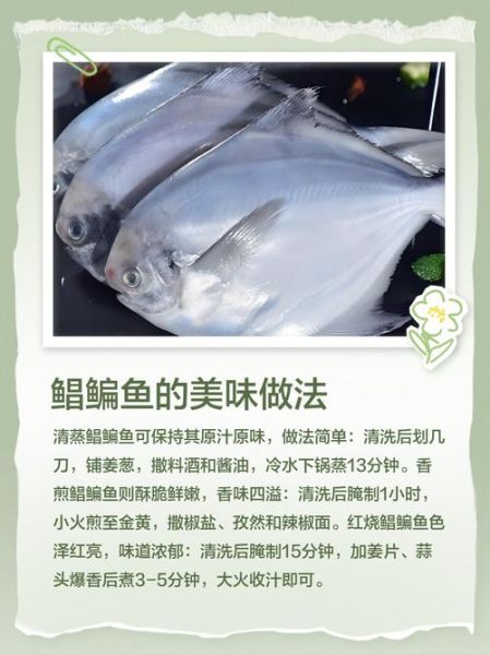 鲳鱼用什么鱼饵好钓_钓鲳鱼饵料配方-第1张图片-山城妙识