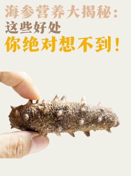 连续吃一个月海参有什么好处_海参每天吃多少合适-第2张图片-山城妙识